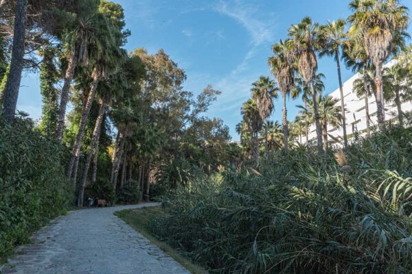 The Best Time To Visit Marbella (with Local Tips!)