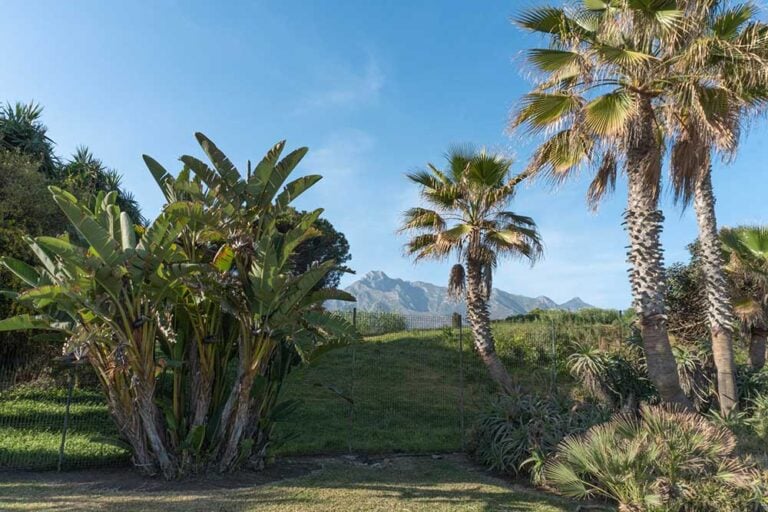 Marbella In September: Weather, Things To Do And Local Tips