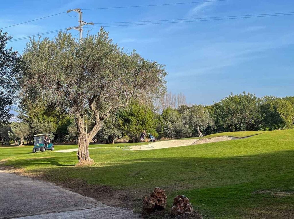 11 Best Things To Do In Marbella In Winter By A Local