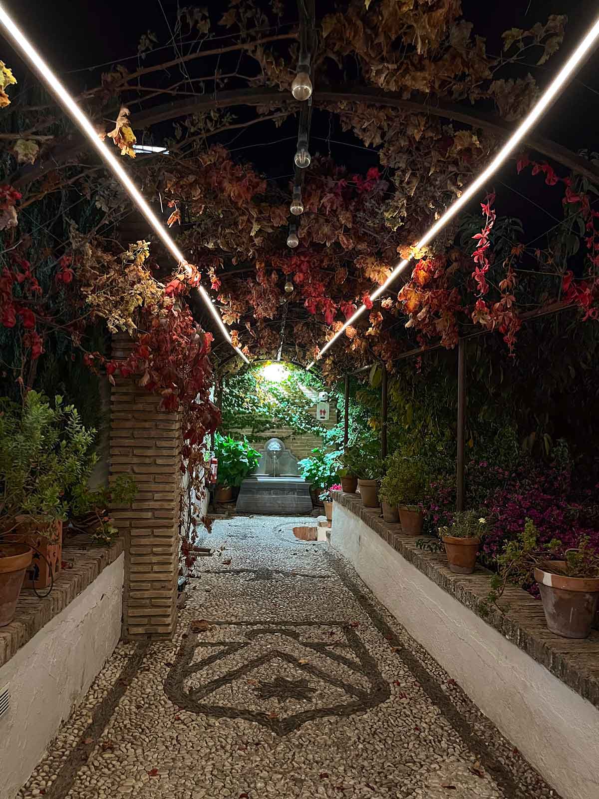 Carmen De Aben Humeya Restaurant Review