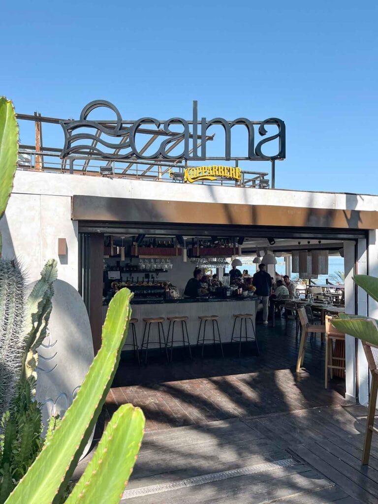 9 Fun Activities In Marbella In June