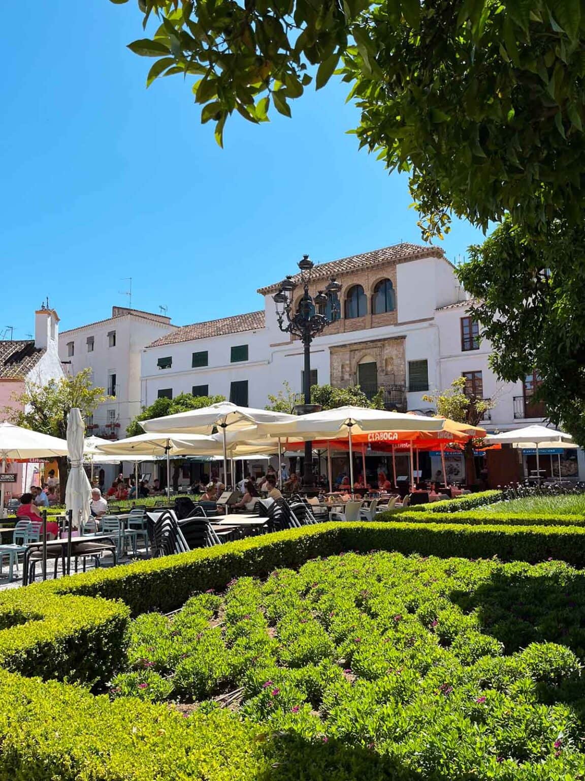 Marbella In November: 14 Things To Do, Weather + Local Tips