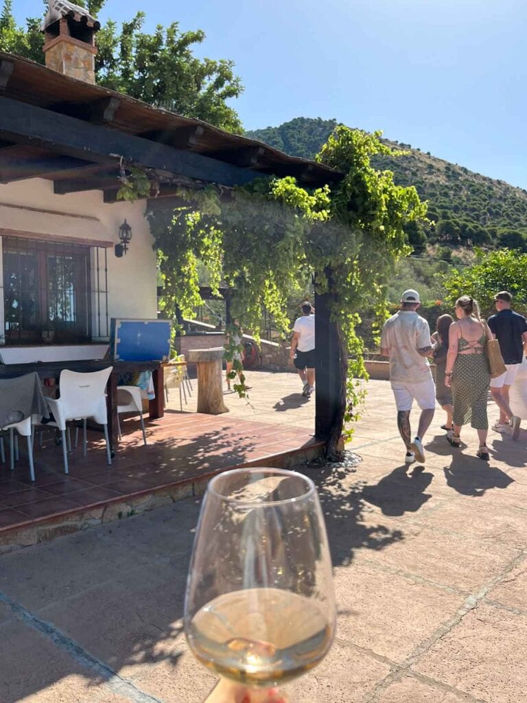 13 Fun Things To Do In Marbella In October + Local Insights