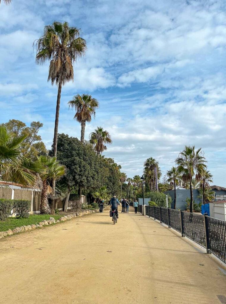 Marbella In February (Activities, Weather And Local Tips!)