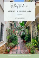 Marbella In February (Activities, Weather And Local Tips!)